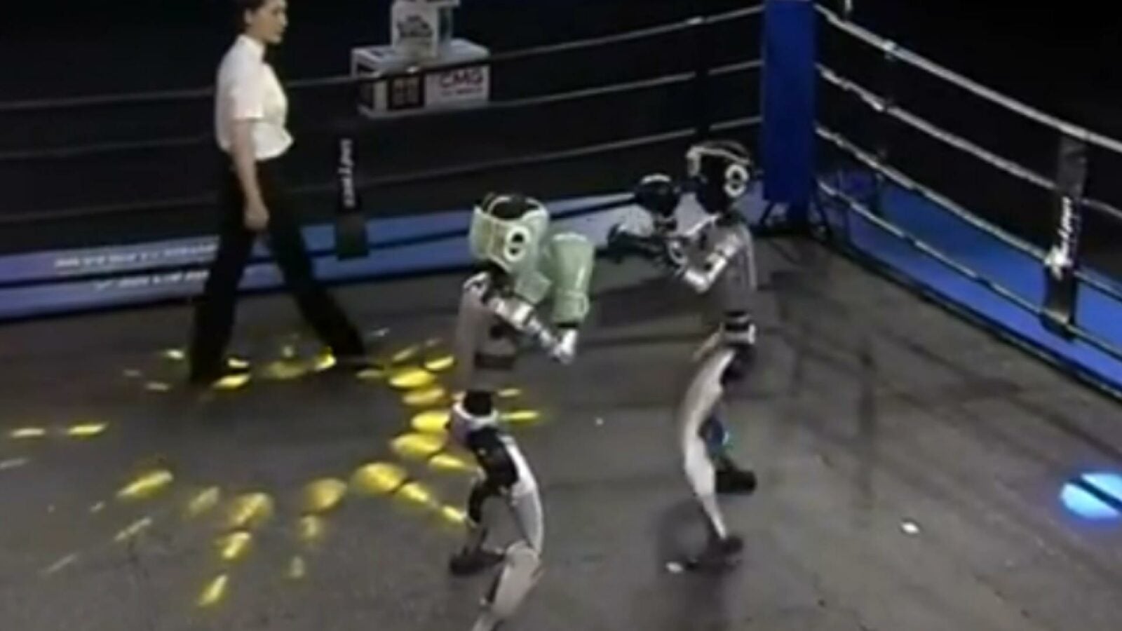 En Chine, les robots humanoïdes se mettent à la boxe