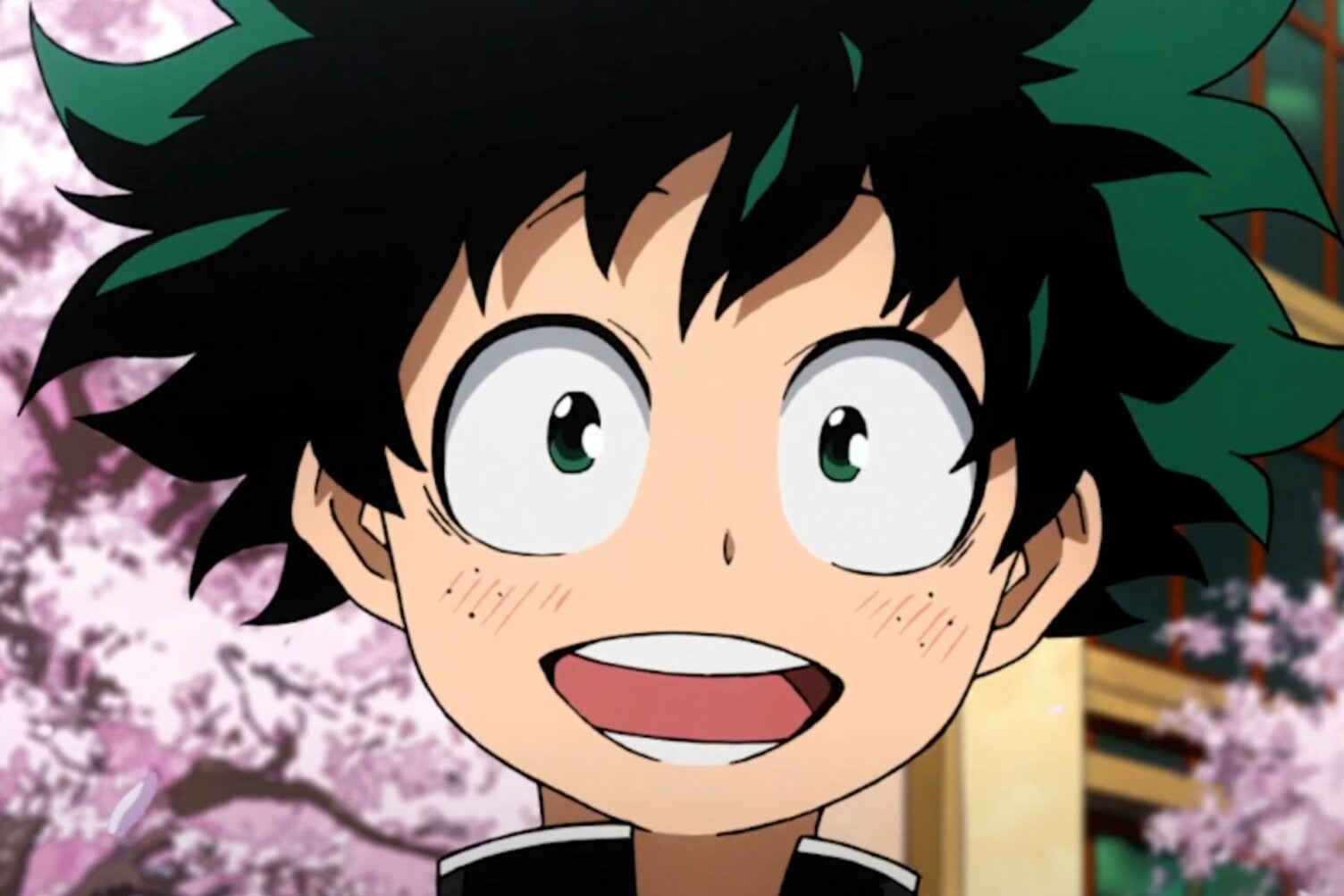 Netflix dévoile une avancée majeure pour le film live-action My Hero ...