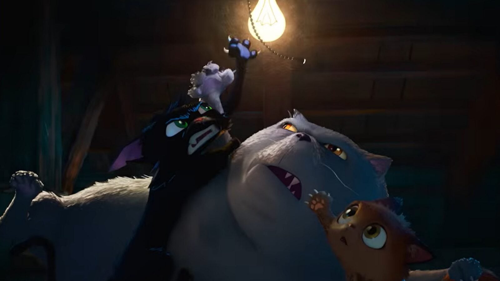 Nero, chat noir : le nouveau Pixar va vous en mettre plein les moustaches