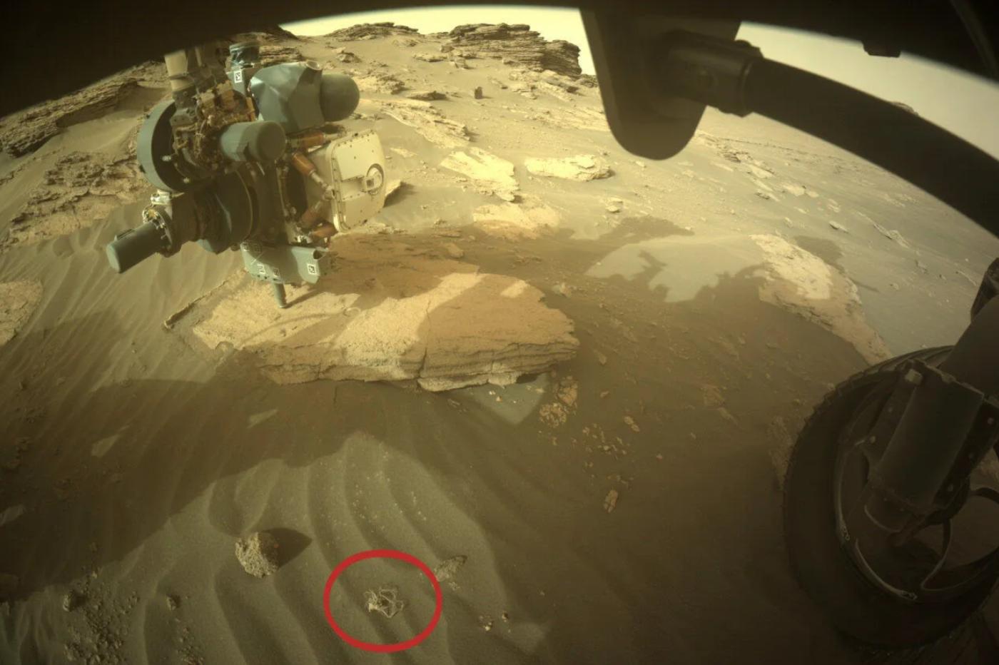 Qu'est-ce que cet étrange "spaghetti" repéré sur Mars par Perseverance